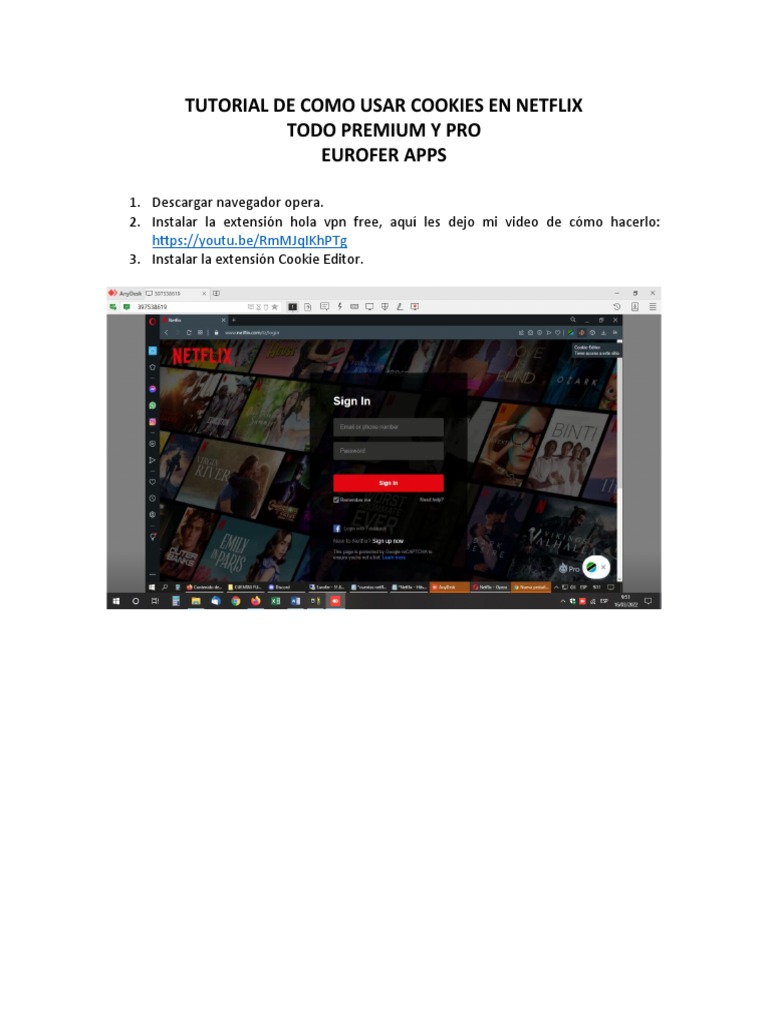 Tutorial de Como Usar Cookies en Netflix | PDF