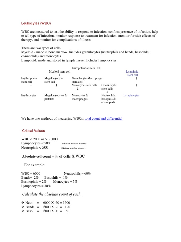 Leukocytes (WBC) : 500 % of Cells X WBC For Example | PDF | White Blood ...