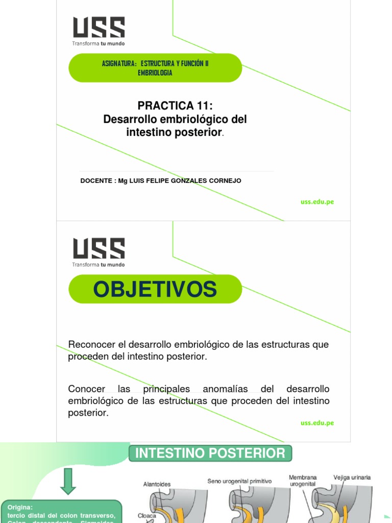 Sem 11 Práctica Aparato Digestivo Ii - DR Gonzales | PDF | Gastroenterología | Medicina CLINICA