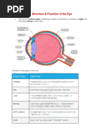 The Eye - IGCSE Biology Revision Notes | PDF | Eye | Sensory Organs