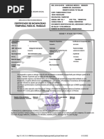 Formato de Incapacidad Imss Editable PDF | PDF