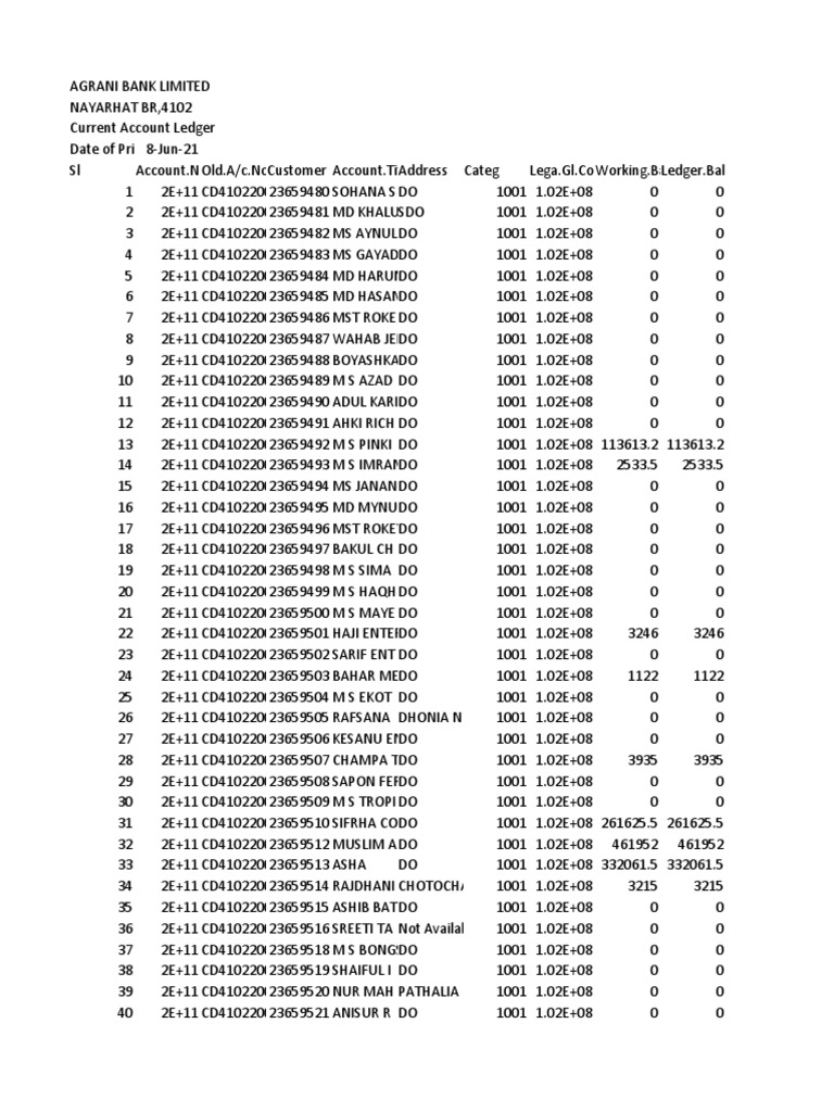 Current Account Ledger | PDF