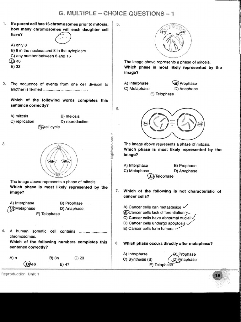 Cell Divisions - MCQ | PDF | Mitosis | Chromosome