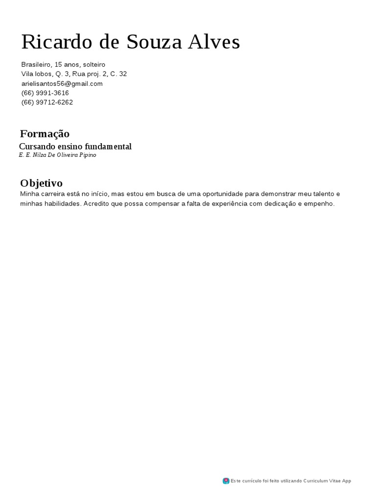 Currículo Ricardo | PDF