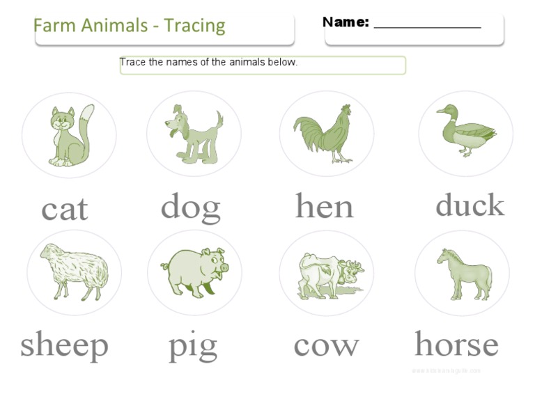 Farm Animals Tracing | PDF
