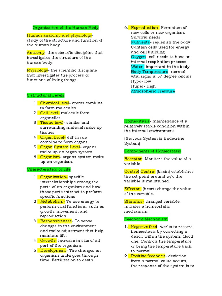 Anatomy and Physiology | Download Free PDF | Anatomical Terms Of ...