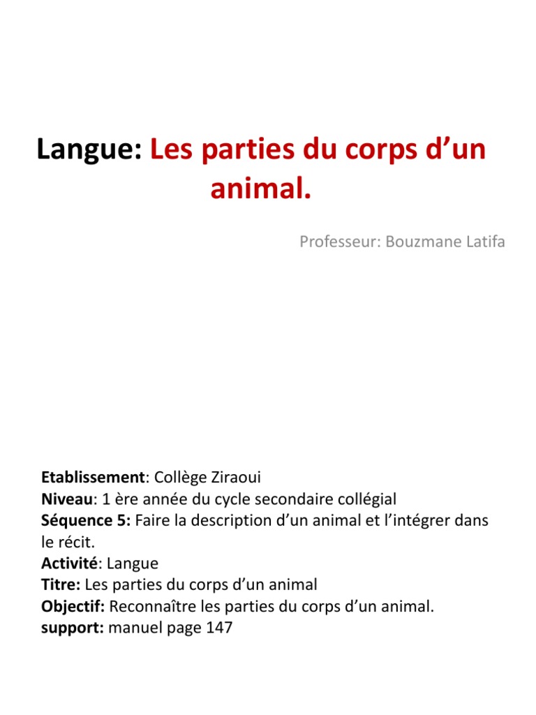 Parties du corps des animaux | PDF | Éléphant | Ornithologie