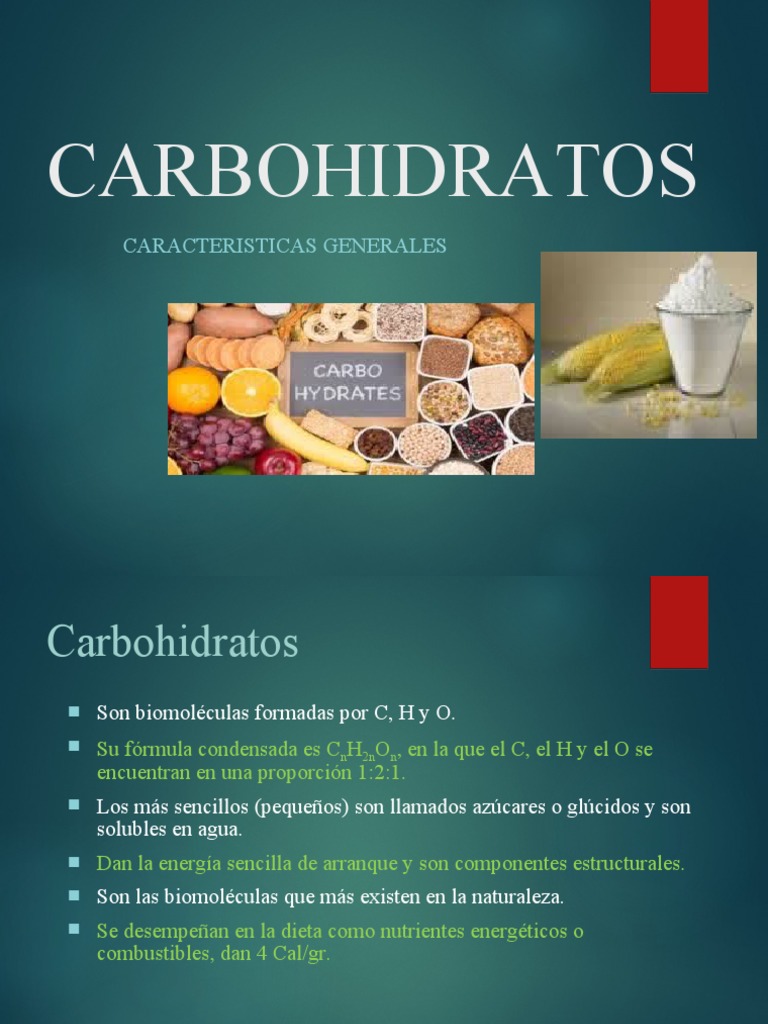 CARBOHIDRATOS | PDF | Carbohidratos | Glucosa