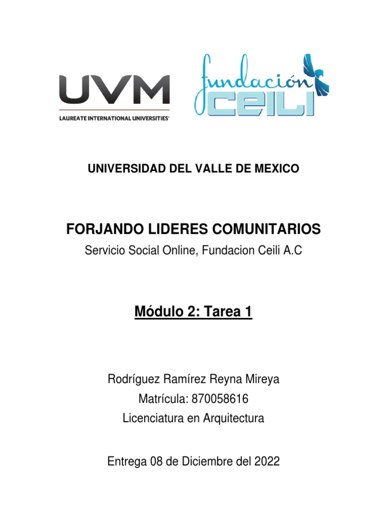 Modulo 2 - Tarea 1 Proyecto Comunitario | PDF