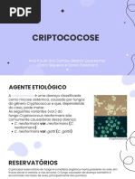 15 Igba Aje Saluga Ati Esu Awure Ti Aje | PDF | Alimentos | Religião e ...