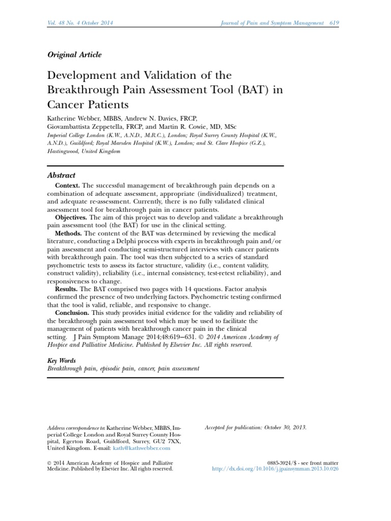 Bat Instrumento Confiabilidad | PDF | Validity (Statistics) | Effect Size