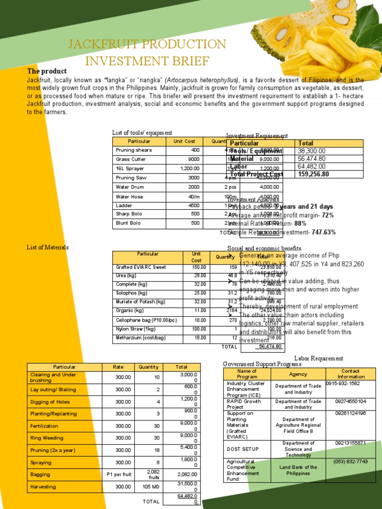 PIS - Jackfruit Production Sent | PDF | Agriculture | Economies