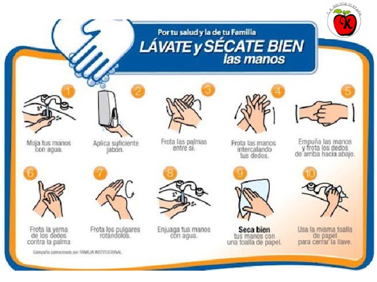 Lavado Correcto de Manos | PDF
