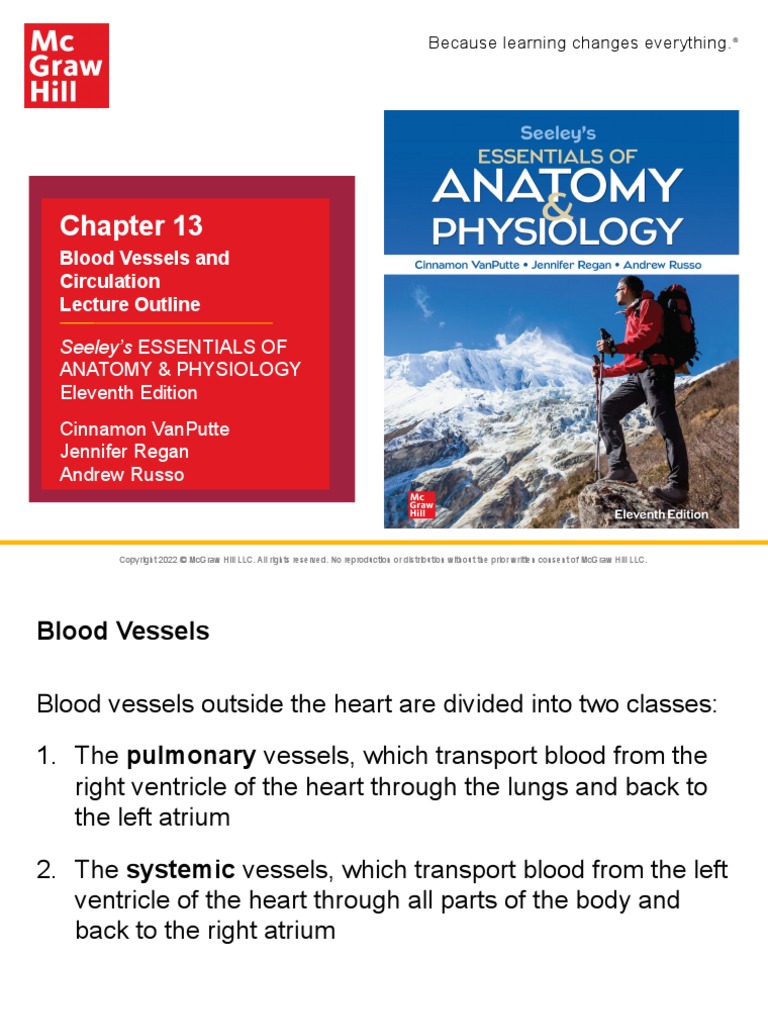Chap13 PPT Blood+Vessels | PDF | Aorta | Angiotensin