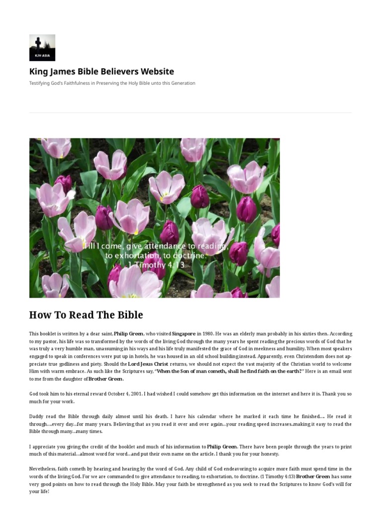 How to Read the Bible Effectively | PDF | Bible | Books
