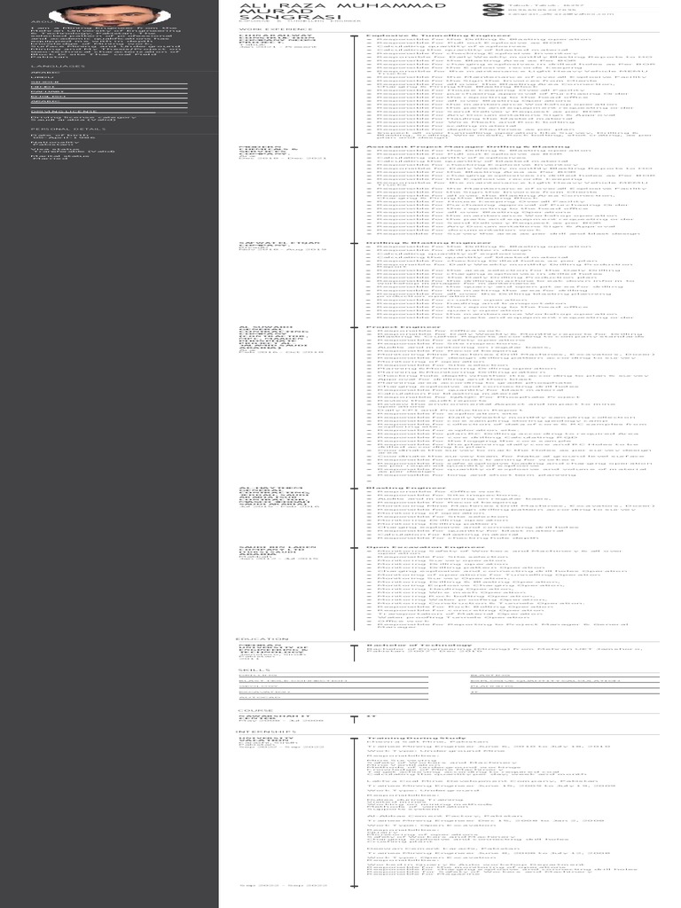 Ali Raza Muhammad Murad CV | PDF | Mining | Minerals