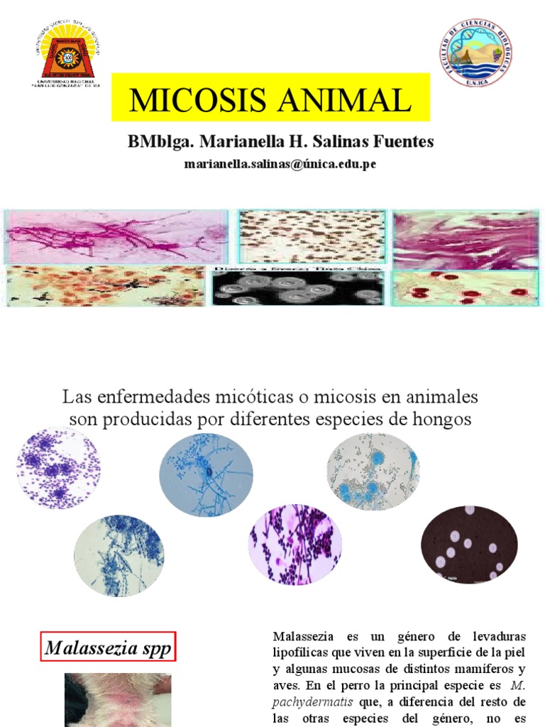 Mi Cos Is Animal | PDF | Especialidades Medicas | Organismos