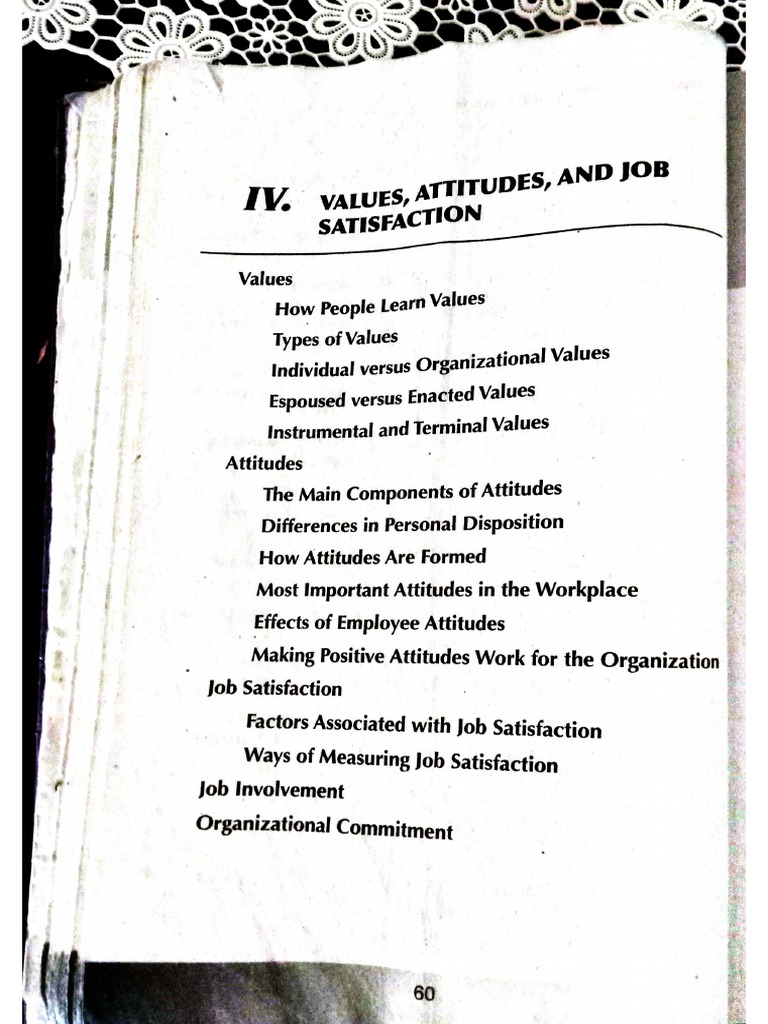 Ppec 210 Chapter 4 Values Attitudes and Job Satisfaction | PDF