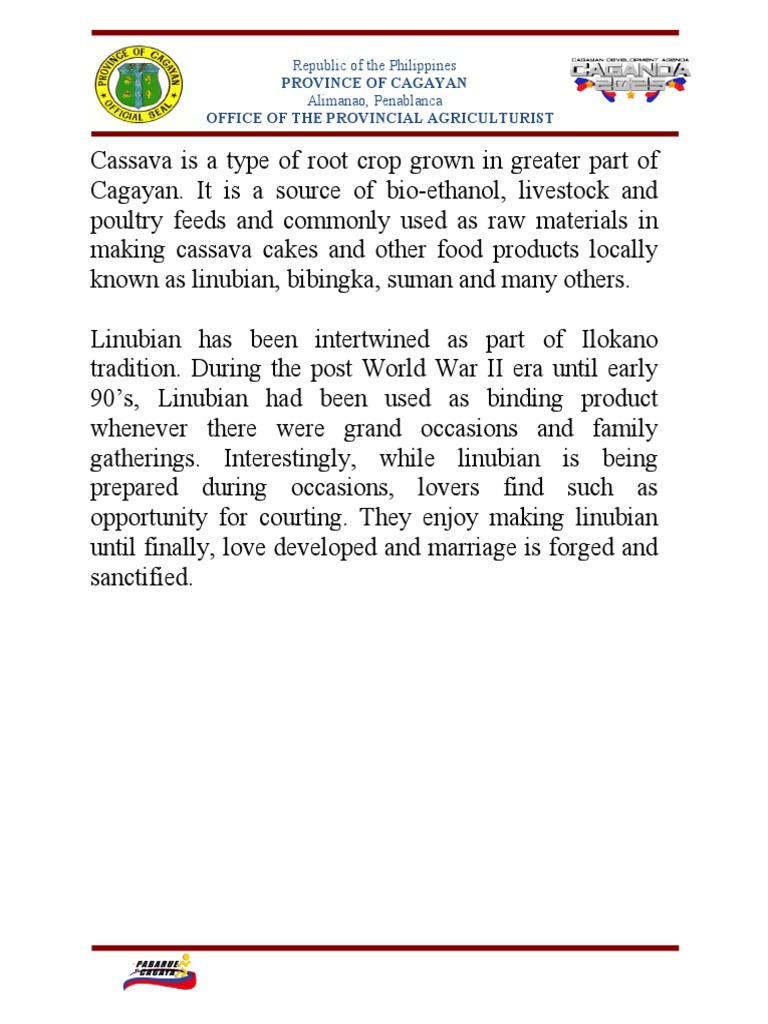 Cassava's Role in Cagayan Tradition | PDF