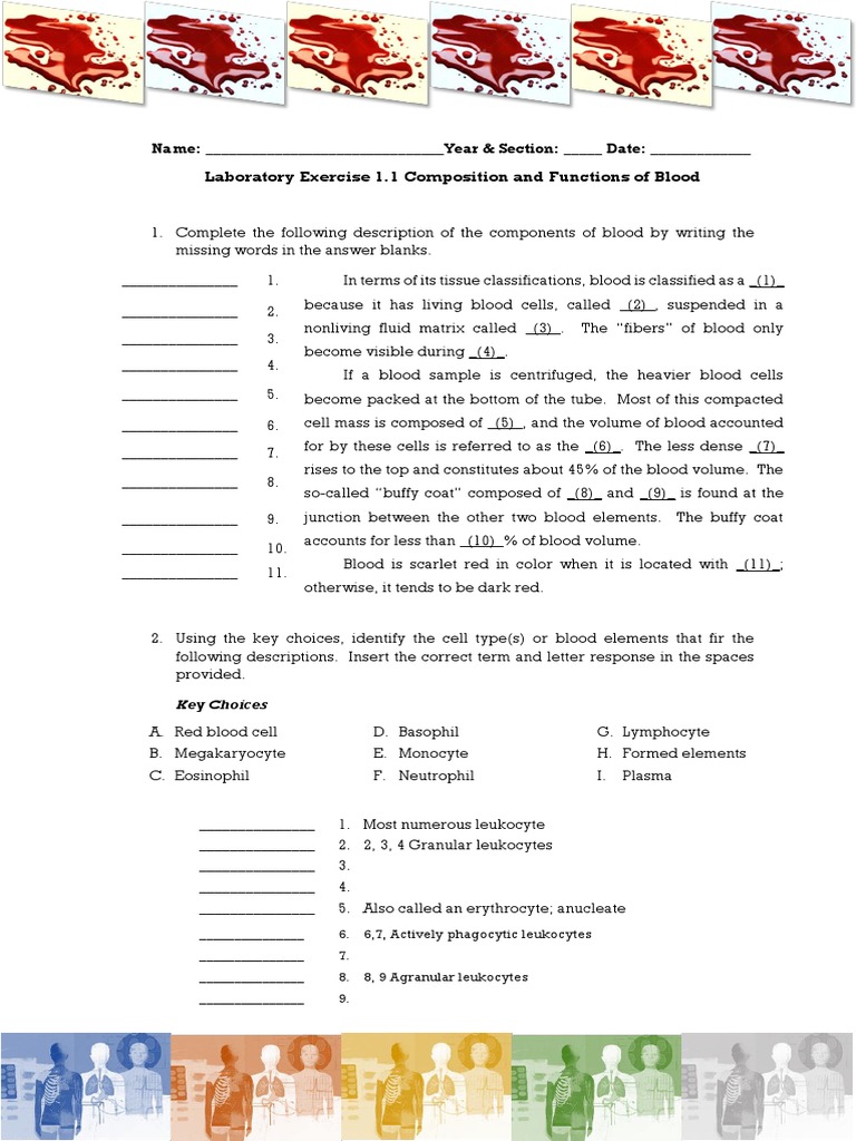 NUMC 101 Module 1 Cardiovascular System Blood Lab Exercise | PDF ...