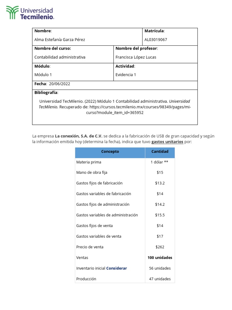 Evidencia 1 Final | PDF | Inventario | Business