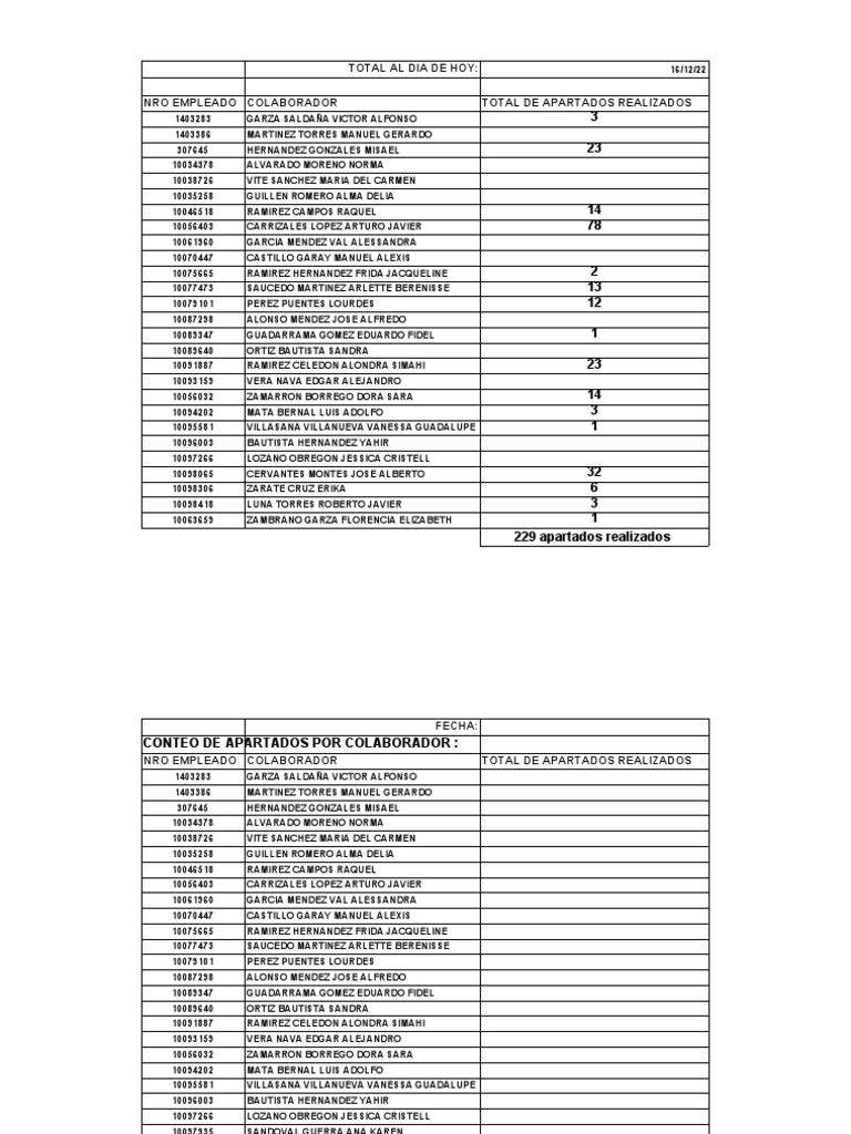 Formato Conteo Apartado | PDF