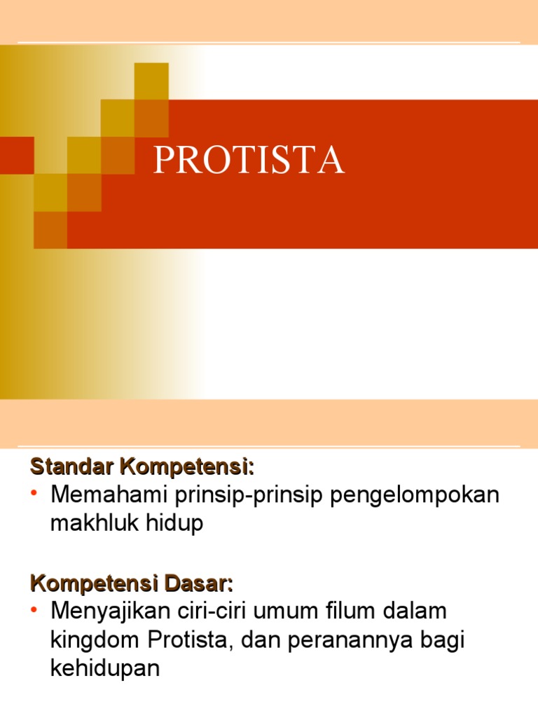 Protista | PDF | Kesehatan Holistik | Sains & Matematika