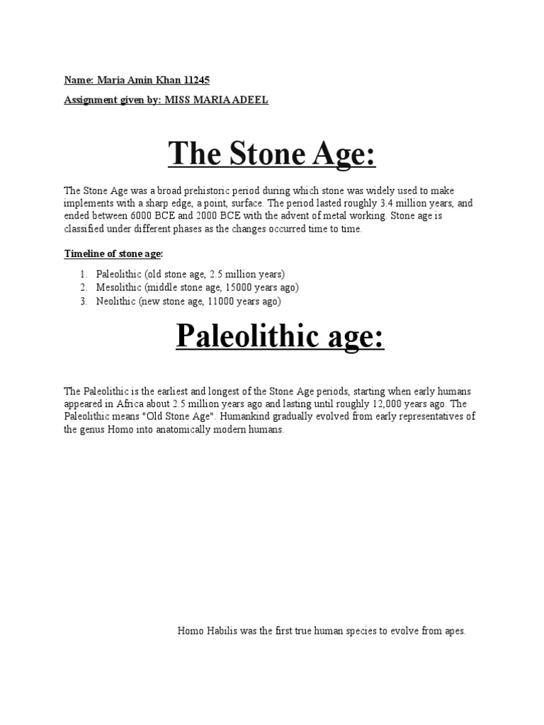 The Stone Age | PDF | Stone Age | Paleolithic