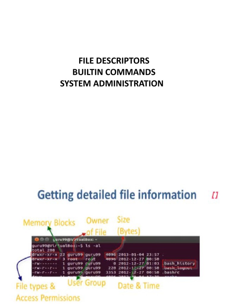 File Descriptors Builtin Commands | PDF | Software Development | Software