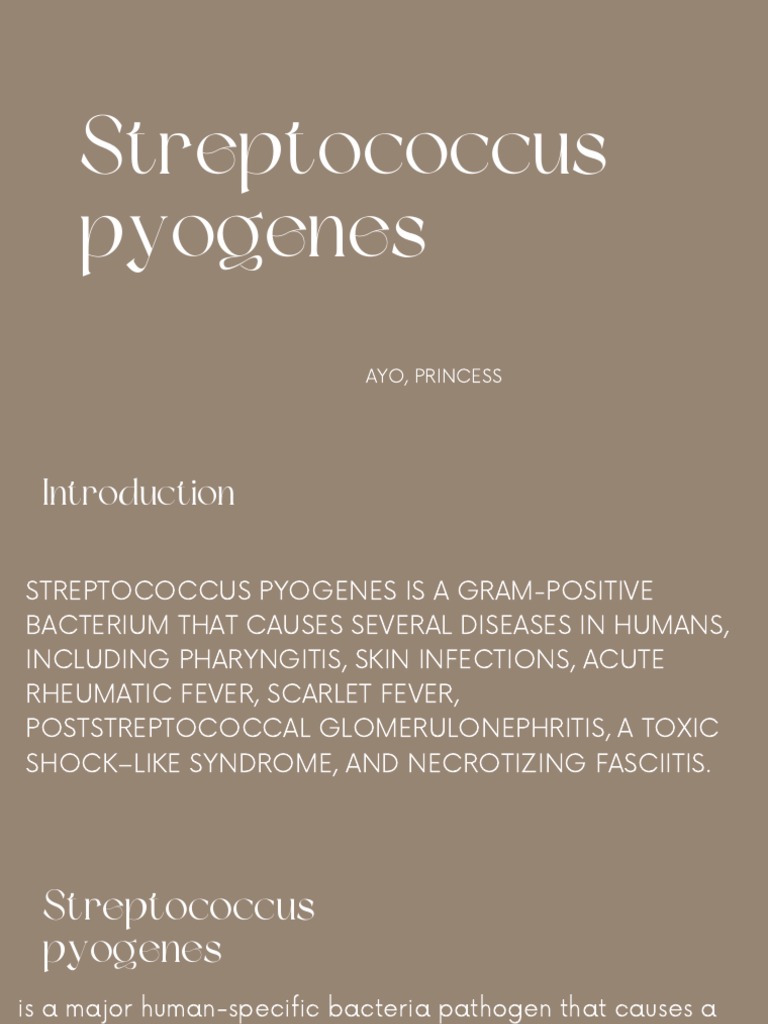 Streptococcus pyogenes Guide: Causes, Symptoms, Treatment and ...