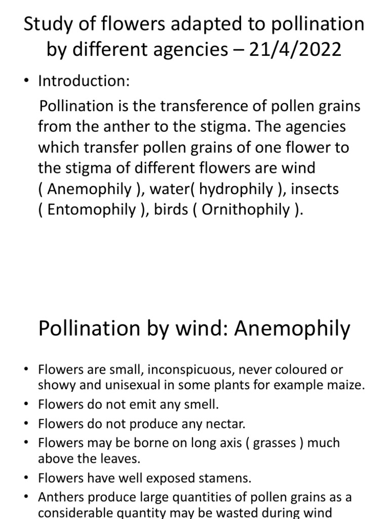 Ex 1 Flower Adaptation For Pollination - April 21 | PDF