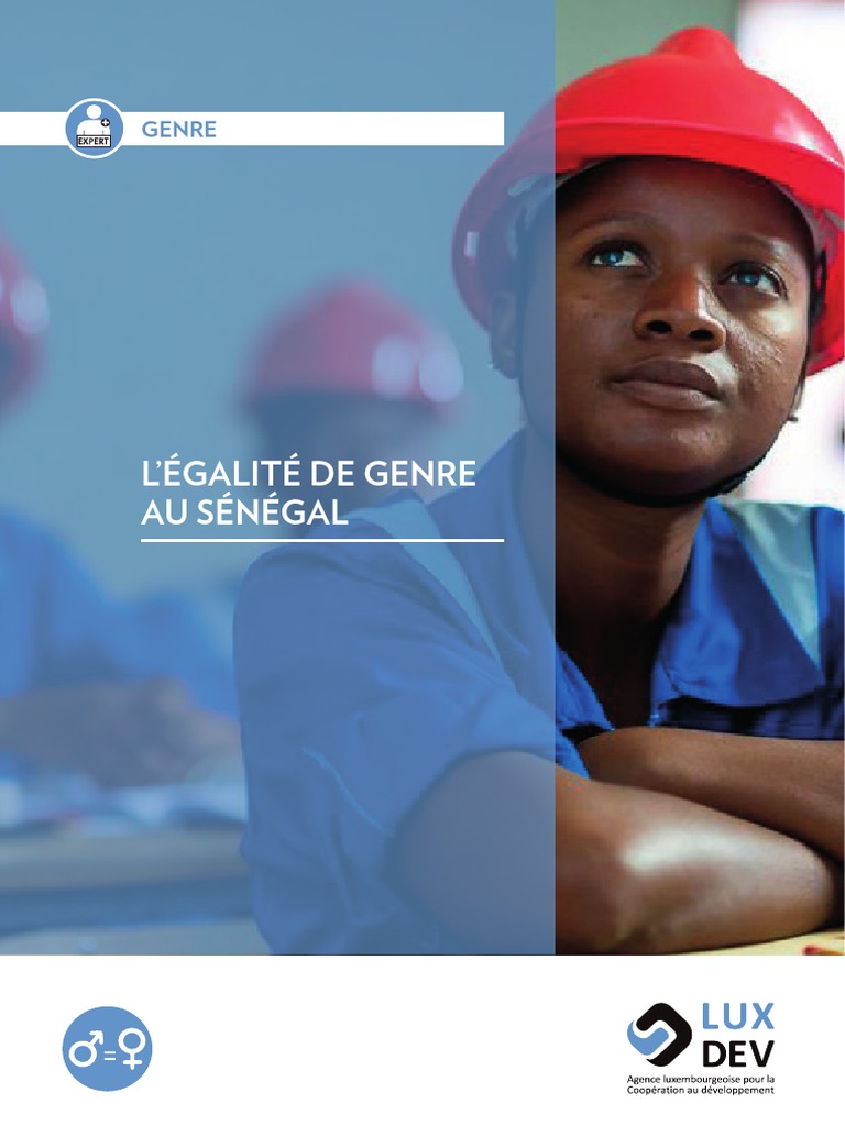 Genre SEN VF | PDF | Sexe | Études des genres