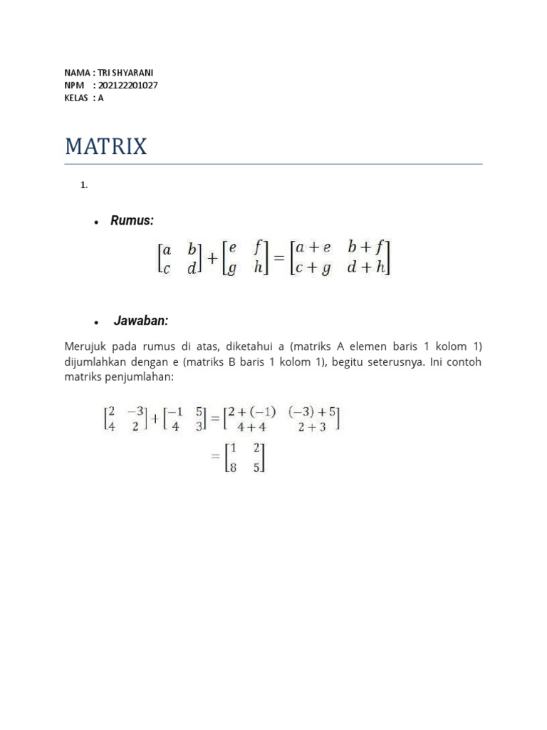 Contoh Soal Matrix | PDF