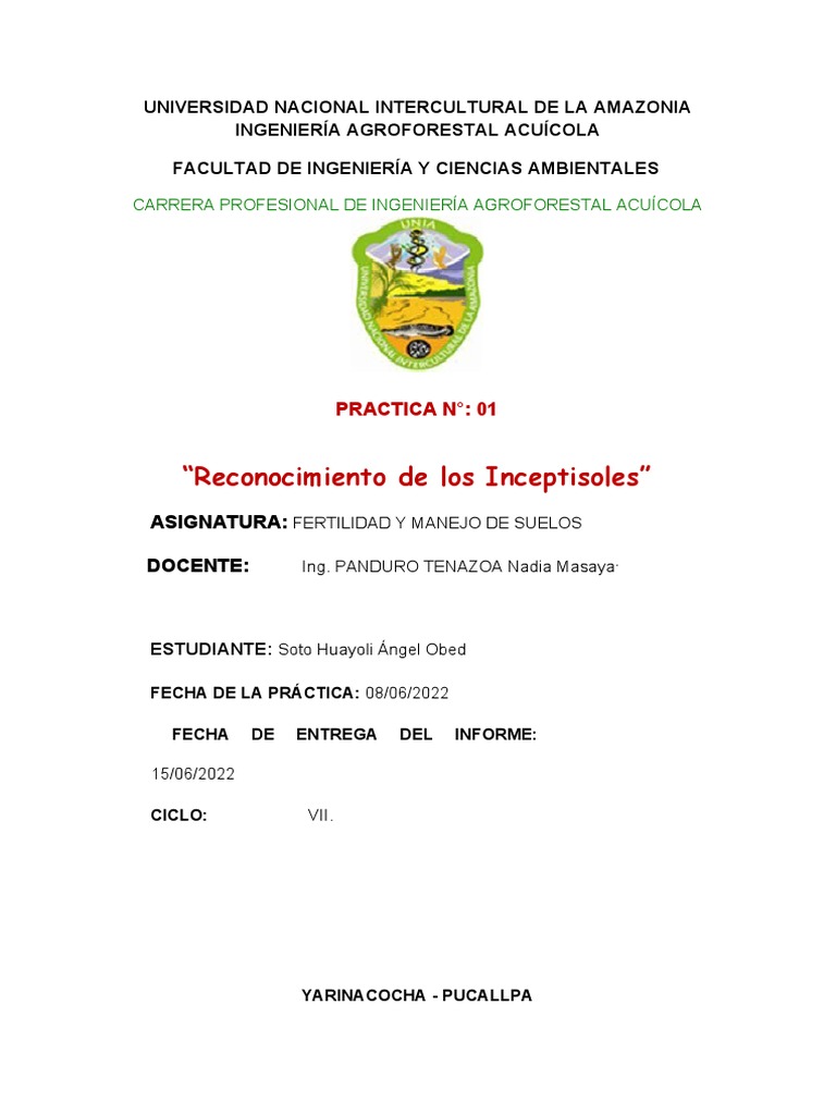 PRAC 1 - INCEPTISOLES - Fertilidad 1 | PDF | Suelo | Los bosques