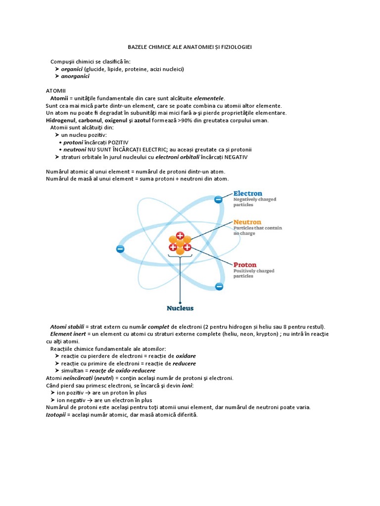 Cap2.Bazele Chimice | PDF