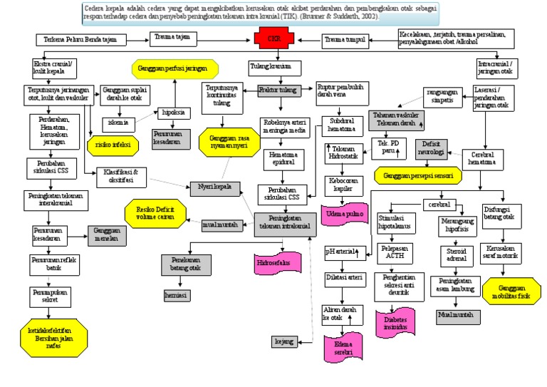 Pathway Cidera Kepala | PDF
