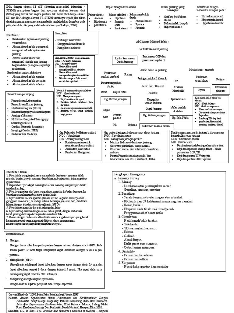 Pathway Stemi | PDF