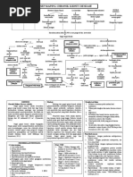 Pathway CKD Sdki | PDF