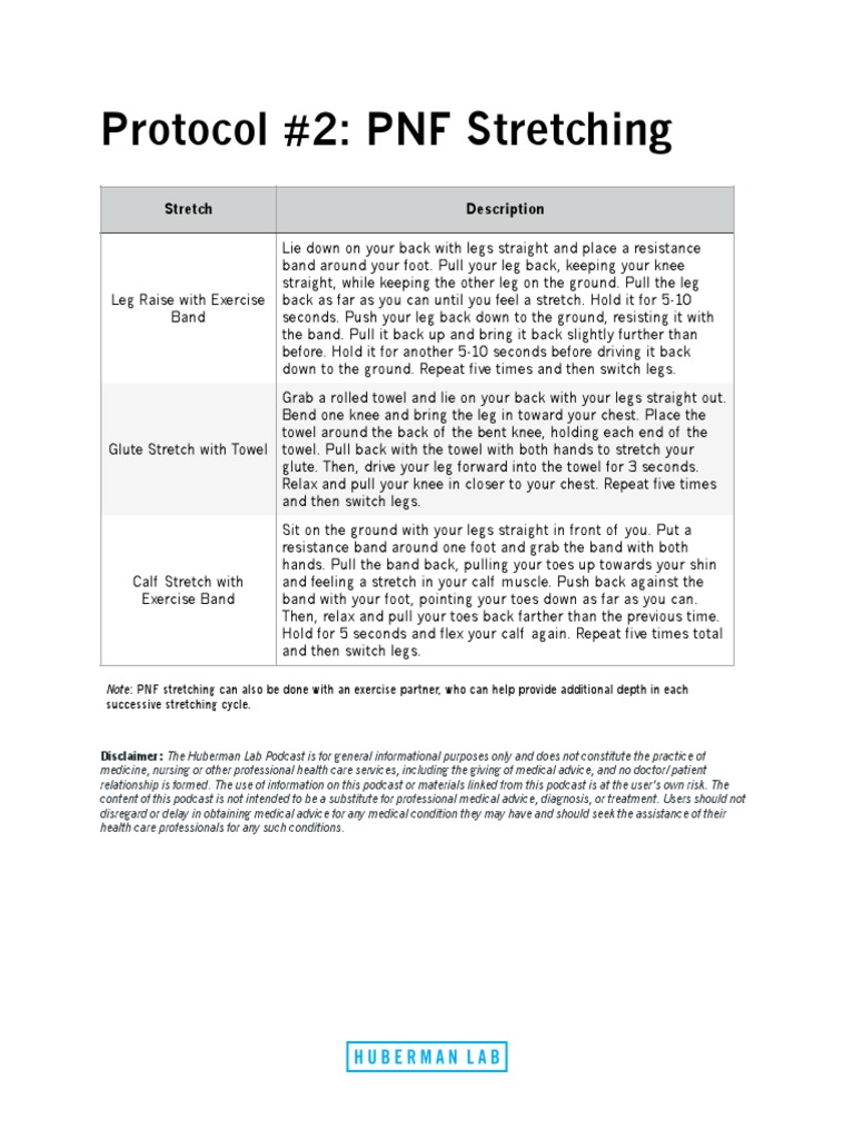 Glute PNF Stretch Techniques | PDF | Foot | Knee