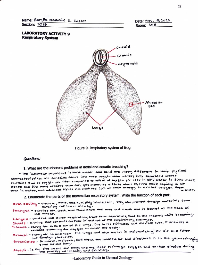 Zoology Laboratory - Activity 10: Respiratory System | PDF