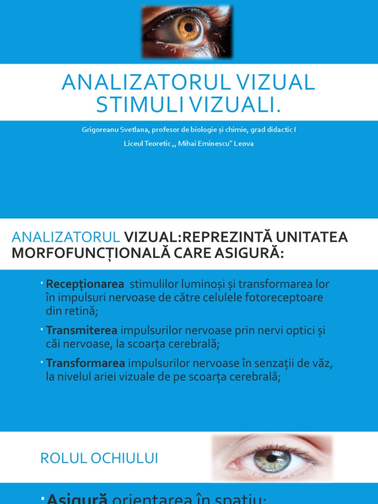 Analizatorul Vizual. Stimuli Vizuali | PDF