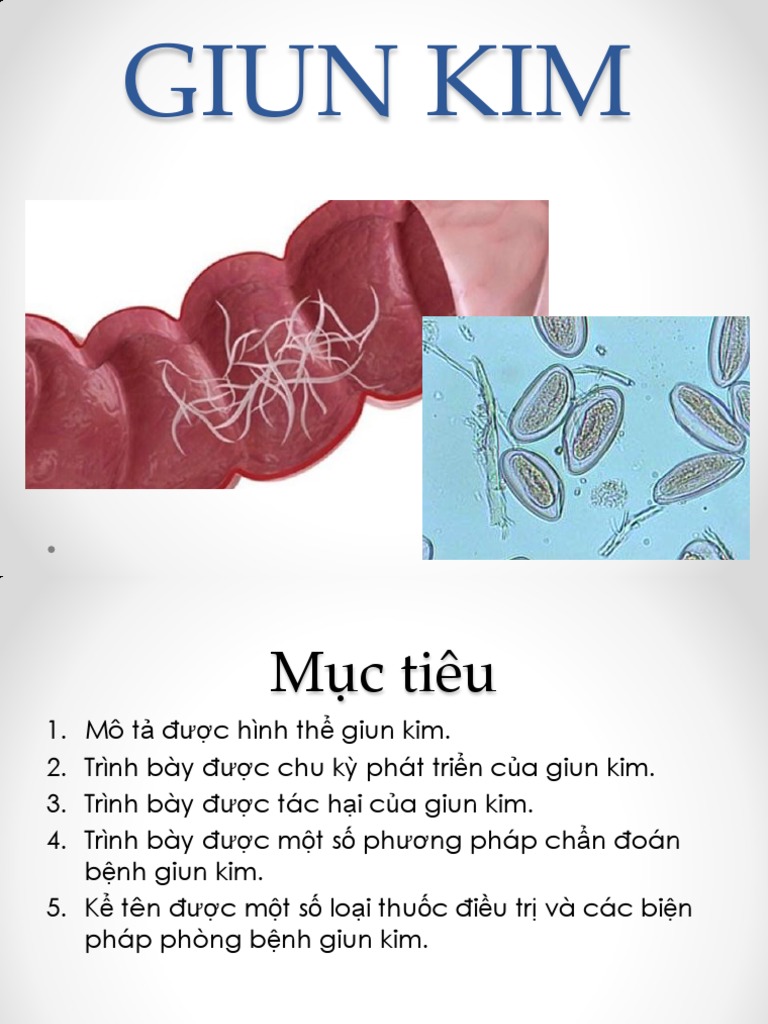 Giun Kim | PDF