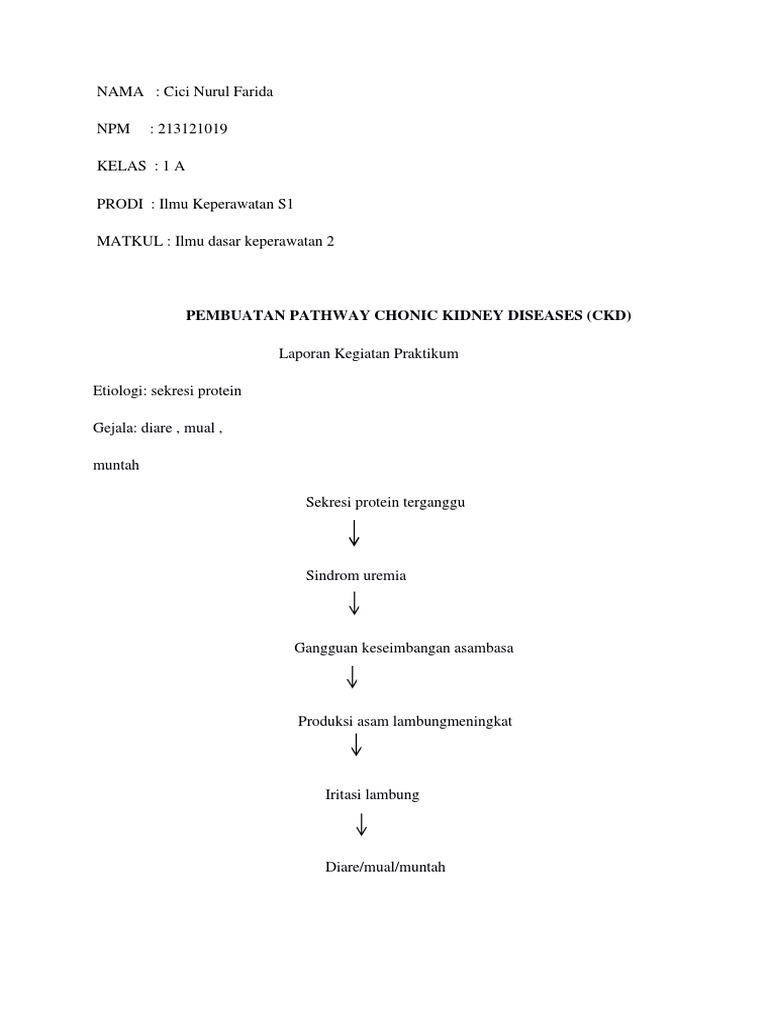Pembuatan Pathway Penyakit Ginjal Kronis (CKD) | PDF