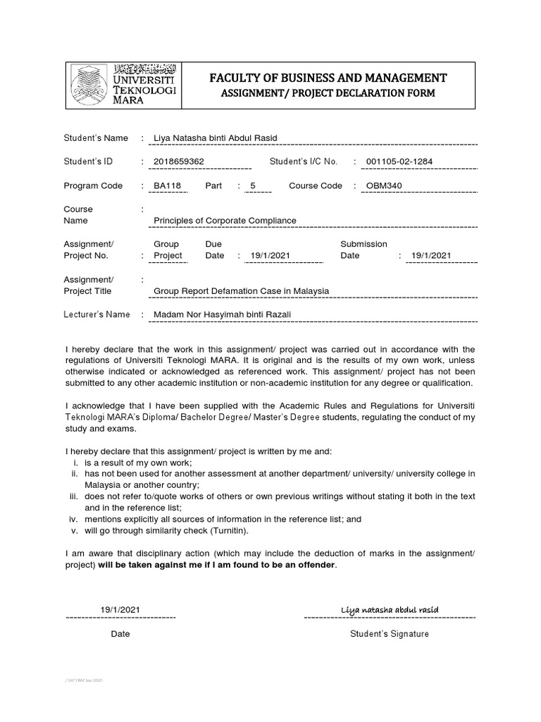 Assignment Project Declaration Form | PDF