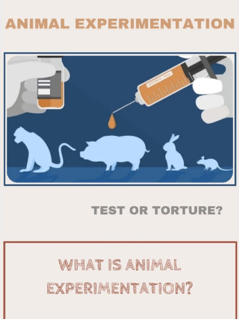 1st Draft - A Blogpost On Whether Animal Testing Is Ethical or Not ...