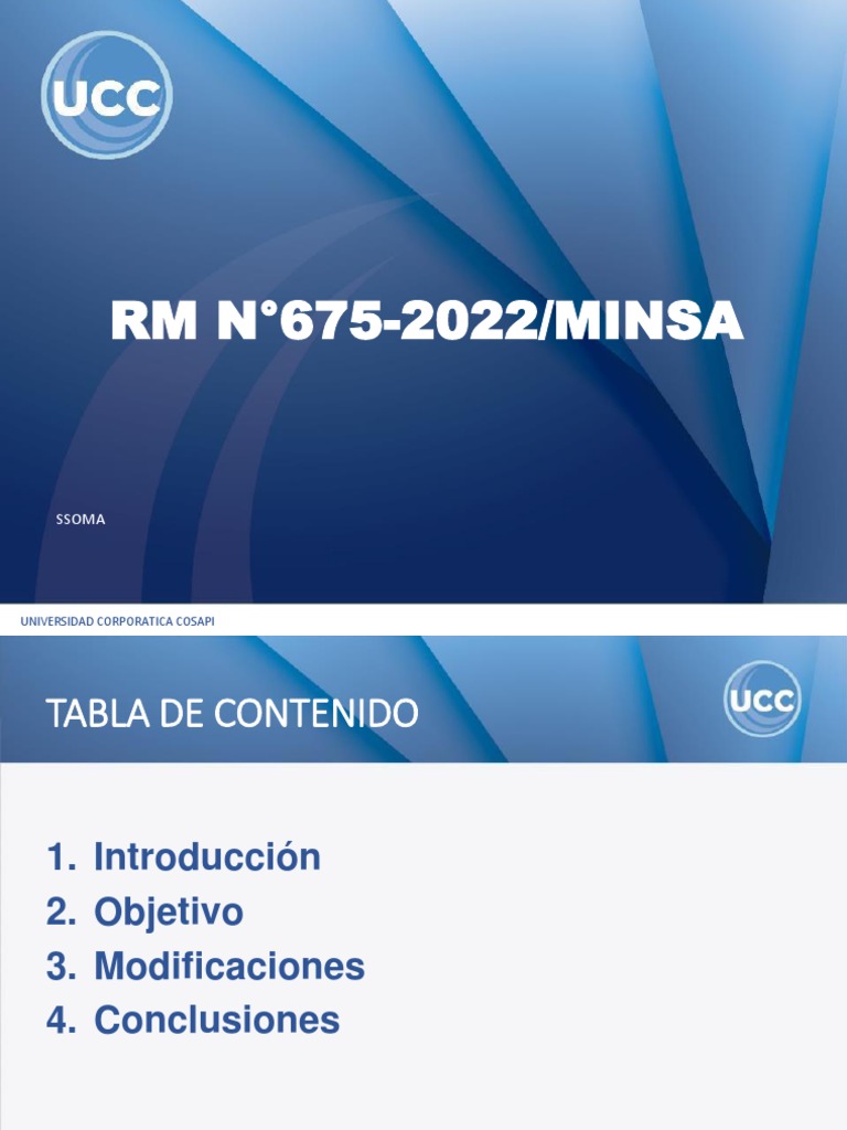 S01 - RM 675 2022 Minsa | PDF