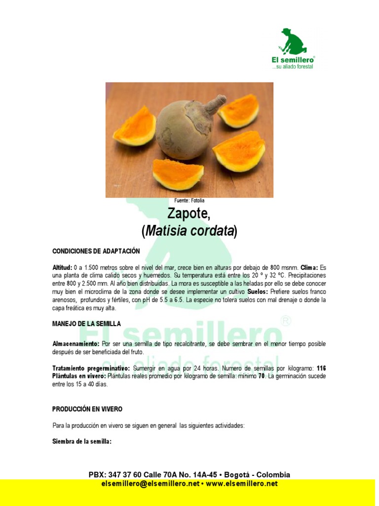 Zapote Andino | PDF | Siembra | Riego