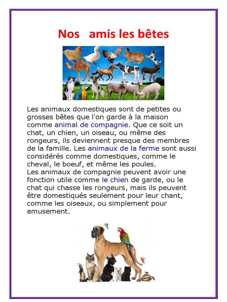 Les bienfaits des animaux domestiques | PDF