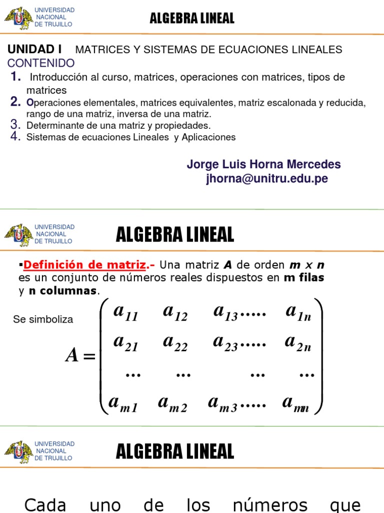 Módulo #1 ALGEBRA LINEAL | PDF | Matriz (Matemáticas) | Álgebra lineal