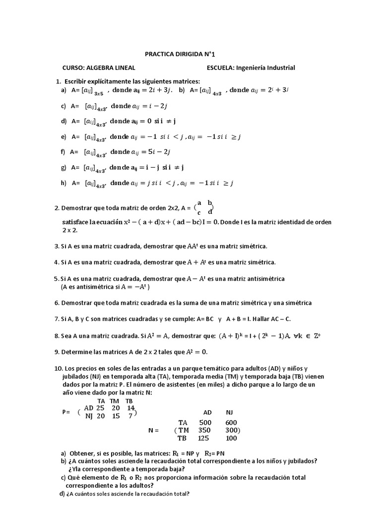 Practica Dirigida #1 Algebra Lineal | PDF | Matriz (Matemáticas) | Funciones y mapeos